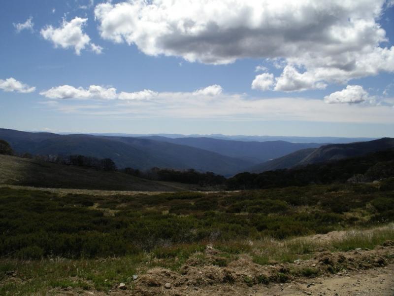 Buckety Plain Camping Area